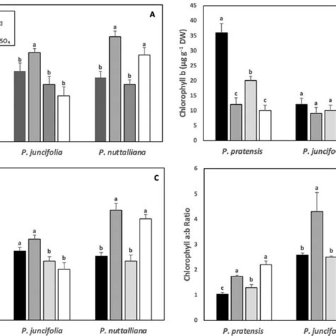 Leaf Chlorophyll A A Chlorophyll B B And Total Chlorophyll C Download Scientific