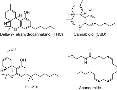 Cannabis Use Disorder Clinical Tree