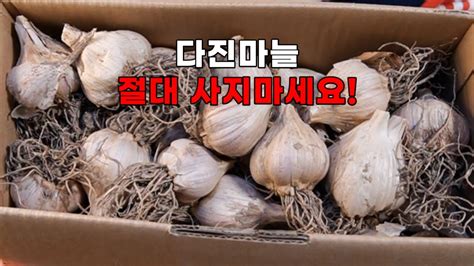 다진 마늘 No 알아두면 유용한 마늘을 1년 내내 싱싱하게 보관하는방법 Youtube