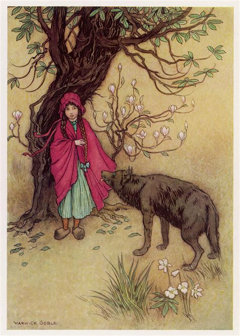 Little Red Riding Hood Wolf Illustration
