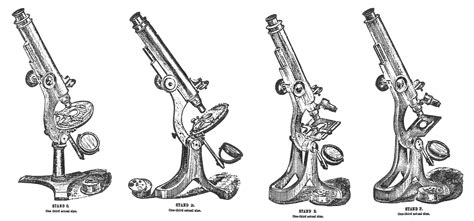 Microscopes Evolution At Herbert Yamasaki Blog
