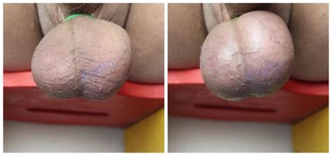 Kleiner Junge Zeigt Seinen Schwanz XHamster