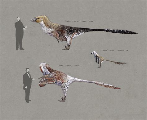 Aquilobador Vs Utahraptor
