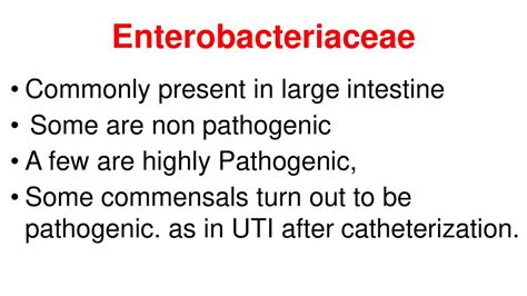 Enterobacteriaceae Infections Enterobacterial Infections