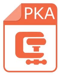 PKA File How To Open Or Convert It FileDesc Com