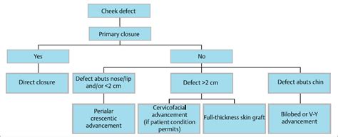 Common Reconstructive Techniques After Facial Skin Cancer Excision