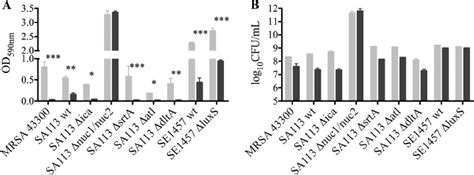 Efficacy Of Daptomycin Dap Against Detached Mrsa In Vitro A Od Download Scientific Diagram