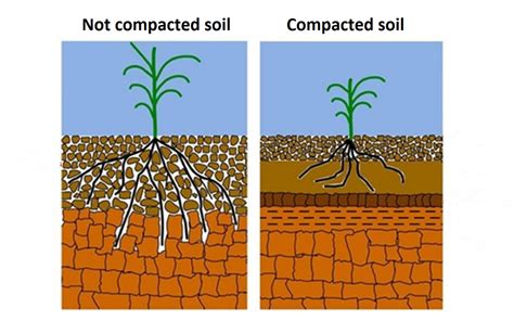 Soil Compaction Compaction Methods Price Advantages And