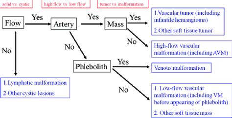 Flowchart Shows The Classification Of Vascular Malformations First