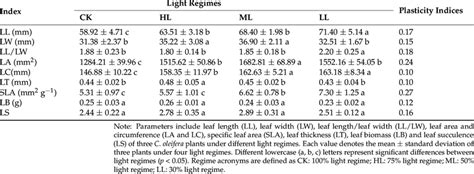 Leaf Morphological Characteristics Of C Oleifera Under Different Light