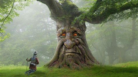 Wise Mythical Tree Featured In New Anime Ranimefunny