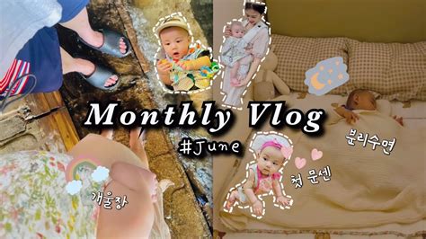 📅 육아브이로그 월간양말부부｜ 분리수면 문센데이 정릉시장 개울장 8개월아기 Youtube