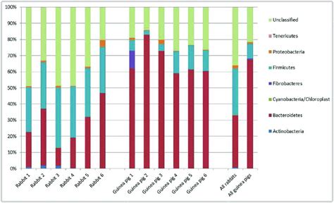 Percentage Of Each Phylum Present In Fresh Faecal Samples Collected