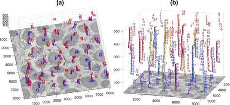 Centroids Of Cells That Were Identified Per Slice Are Displayed In