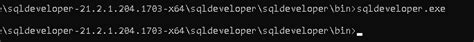 Sql Developer Sqldeveloper 21212041703 X64 Is Crashing Error 126