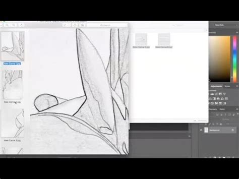 Can You Enlarge An Already Printed Photo