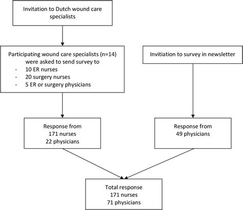Flowchart Of Survey Respondents Download Scientific Diagram