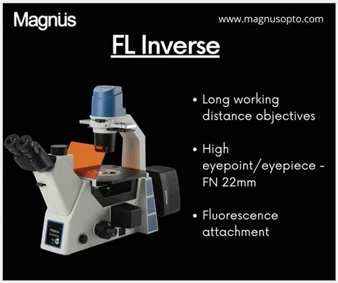 Magnus Fluorescence Inverted Microscope Led Model Namenumber Fl Inverse At Rs 942300 In Chennai