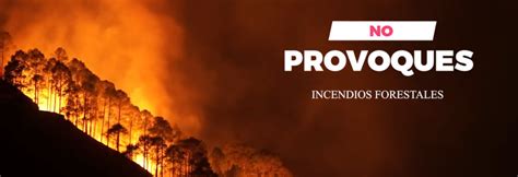 ¿sabÍas QuÉ 9 De Cada 10 Incendios Forestales En El PaÍs Son Causados