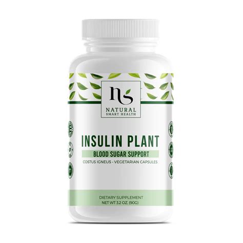 Insulin Plant Costus Igneus Capsules 150 Capsules Natural Smart