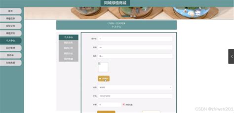 基于nodejsvue同城绿植商城程序论文开题报告 计算机毕业设计 Csdn博客