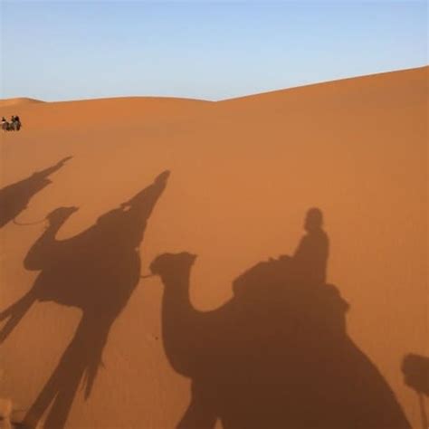 사막의 별빛 아래서 잠들다 모험의 땅 모로코 사하라 사막 여행 가이드 6가지 이앤투어픽