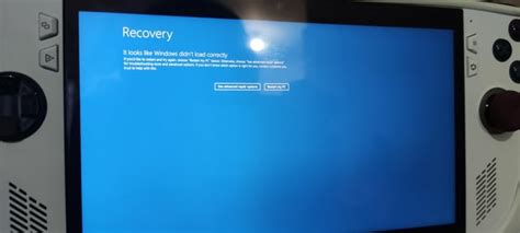 Blue Screen Boot Loop Rrogally