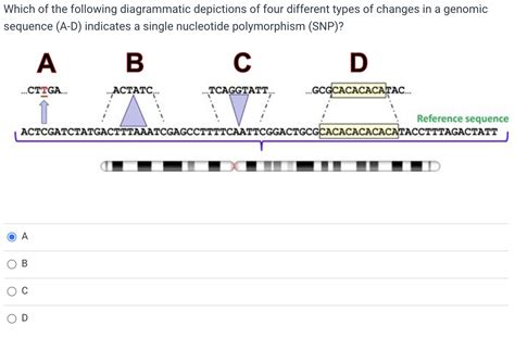 Solved Which Of The Following Diagrammatic Depictions Of