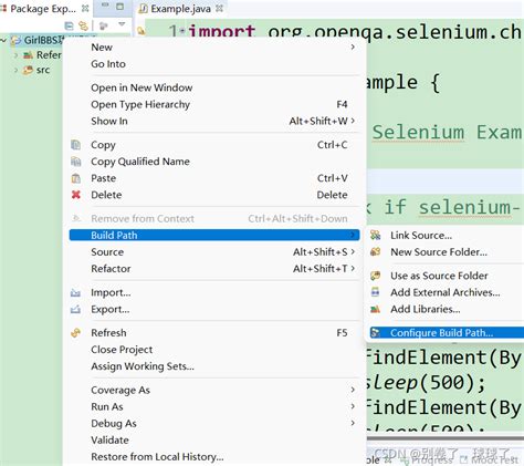 全国大学生软件测试大赛web应用测试（二）selenium功能测试环境配置慕测平台的eclipse插件 Csdn博客