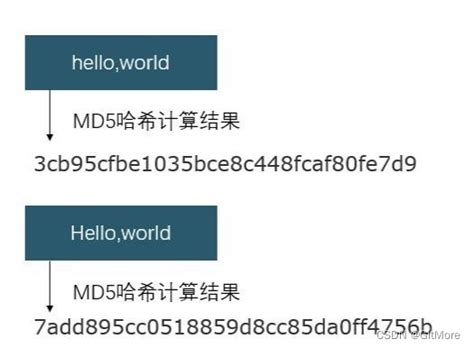 Hash值——软件中的唯一标识符