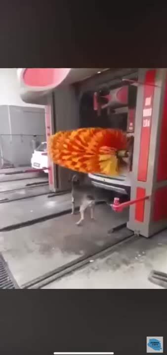 Ajay Kumar Gupta On Linkedin I Recently Came Across A Public Video With Xxx Likes And My Instant