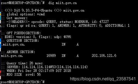 域名dns命令总结（host nslookup dig resolve dnsname详解，包括dig的安装） csdn博客