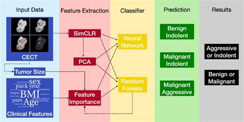 Schematic Representation Of The Pipeline Download Scientific Diagram
