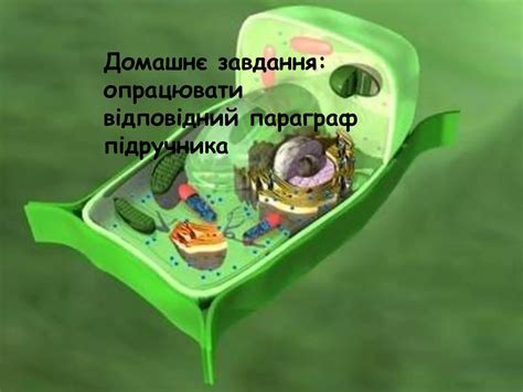 Будова клітини Pptx