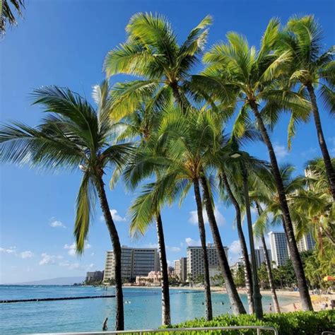 한인 전문 가이드와 함께하는 하와이 오아후 섬 조인 투어 점심 포함