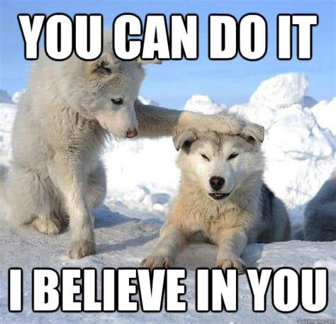 25 You Can Do It Memes That Are 100 Encouraging