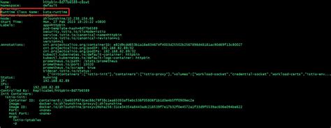 Inject Workloads With Kata Containers In Istio Blog