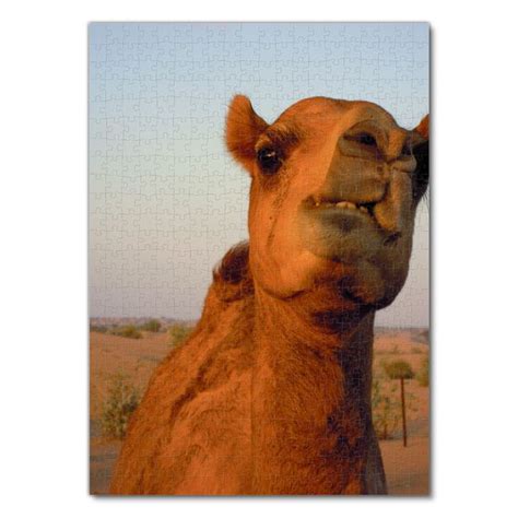 Lais Puzzle Kamel 500 Teile Kaufen Spielwaren Thalia