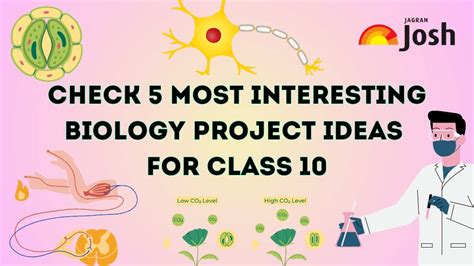 Biology Project Ideas For Class 10 Summer Vacation