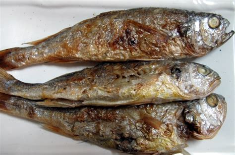 김준의 바다 맛 기행 나른한 봄 기운 돋우는 조기 서울신문