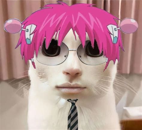 Saiki K Cat