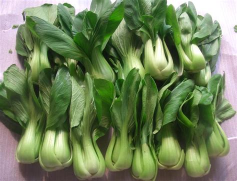 生鲜17种蔬菜加工分拣标准及流程