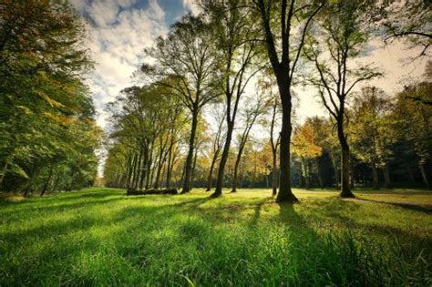 Літо шпалери на робочий стіл високої якості 4k 6k 8k