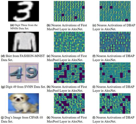 Visualising The Response Of Neurons In Maxpool Layer And Dbap Layer