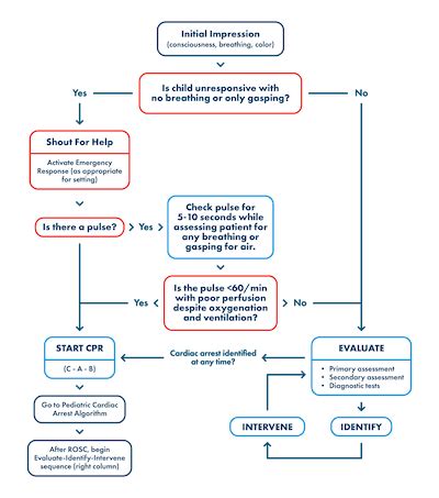 ProMed Certifications Algorithms Pediatric Bradycardia With A Pulse And Poor Perfusion Algorithm