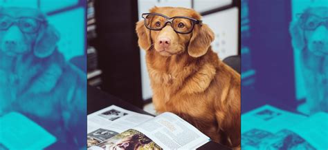 What Is Retrieval Augmented Generation The Benefits Of Implementing