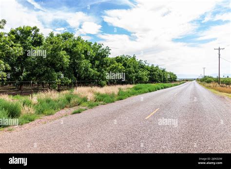 La Luz New Mexico Town Near Alamogordo With Empty Road And Pistachio