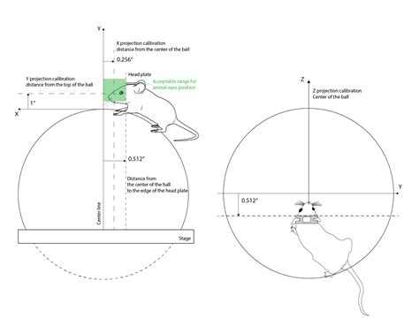 Positioning Brain Cogs Mini Vr Rigs