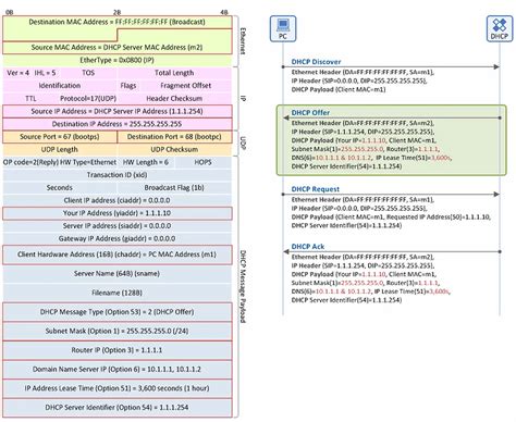 Dhcp Basics