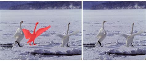 Corel PHOTO PAINT Help Scaling Images By Using Smart Carver